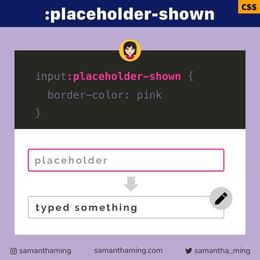 CSS placeholder shown SamanthaMing